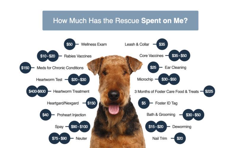Adoption Fees - Texas Airedale Rescue Team